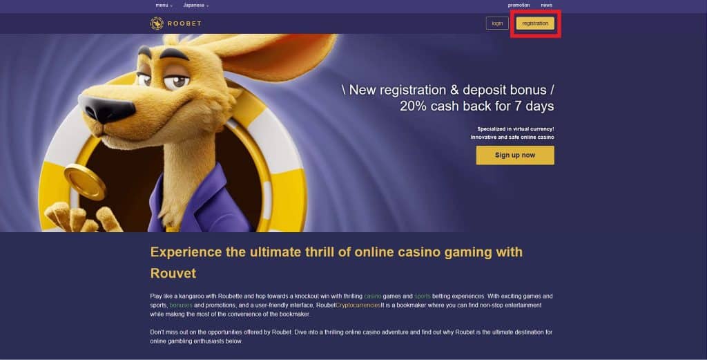 Start your gaming experience by creating a Roobet account